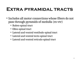 Pyramidal & extrapyramida tracts for physio students | PPT