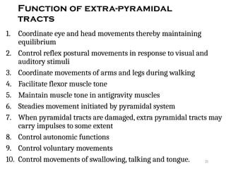 Pyramidal & extrapyramida tracts for physio students | PPT