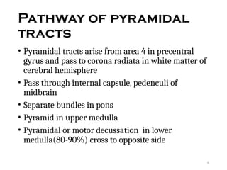 Pyramidal & extrapyramida tracts for physio students | PPT