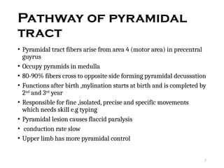 Pyramidal & extrapyramida tracts for physio students | PPT