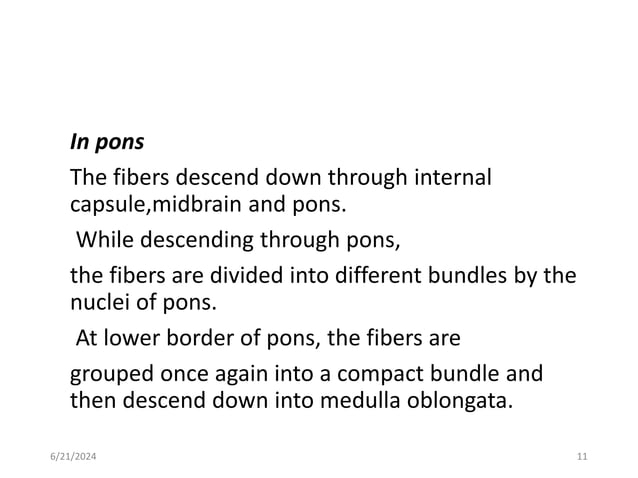 PYRAMIDAL LESIONS by prof charles.pptx