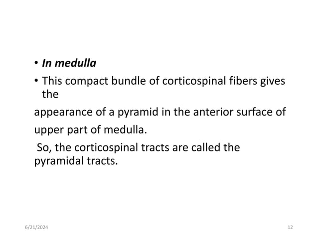 PYRAMIDAL LESIONS by prof charles.pptx