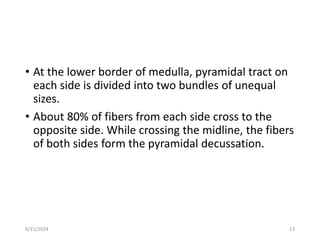 PYRAMIDAL LESIONS by prof charles.pptx
