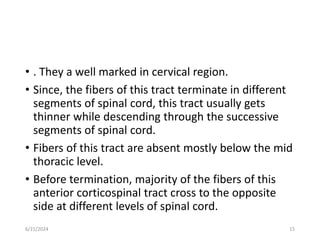 PYRAMIDAL LESIONS by prof charles.pptx