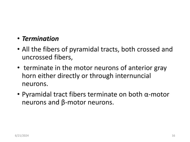 PYRAMIDAL LESIONS by prof charles.pptx