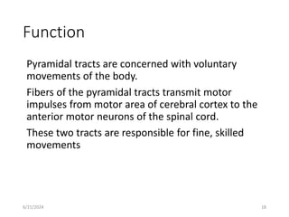 PYRAMIDAL LESIONS by prof charles.pptx