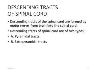 PYRAMIDAL LESIONS by prof charles.pptx