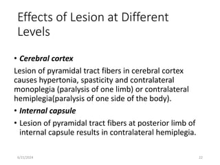 PYRAMIDAL LESIONS by prof charles.pptx