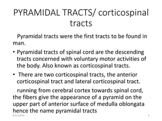 PYRAMIDAL LESIONS by prof charles.pptx