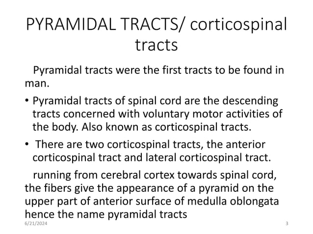 PYRAMIDAL LESIONS by prof charles.pptx