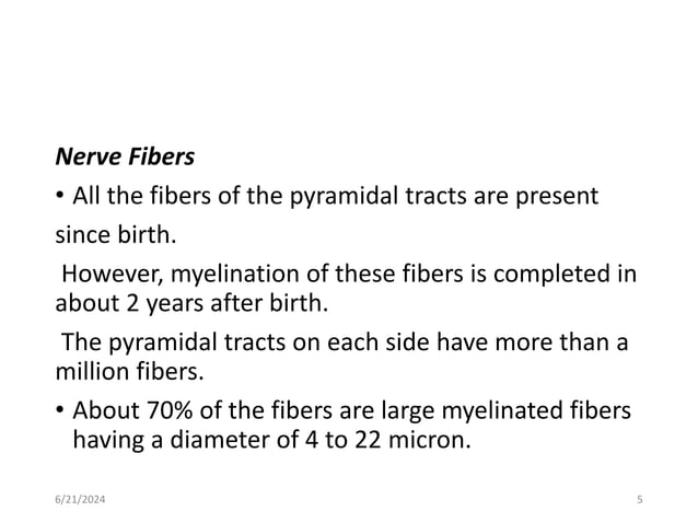 PYRAMIDAL LESIONS by prof charles.pptx