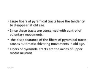 PYRAMIDAL LESIONS by prof charles.pptx