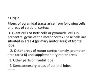 PYRAMIDAL LESIONS by prof charles.pptx