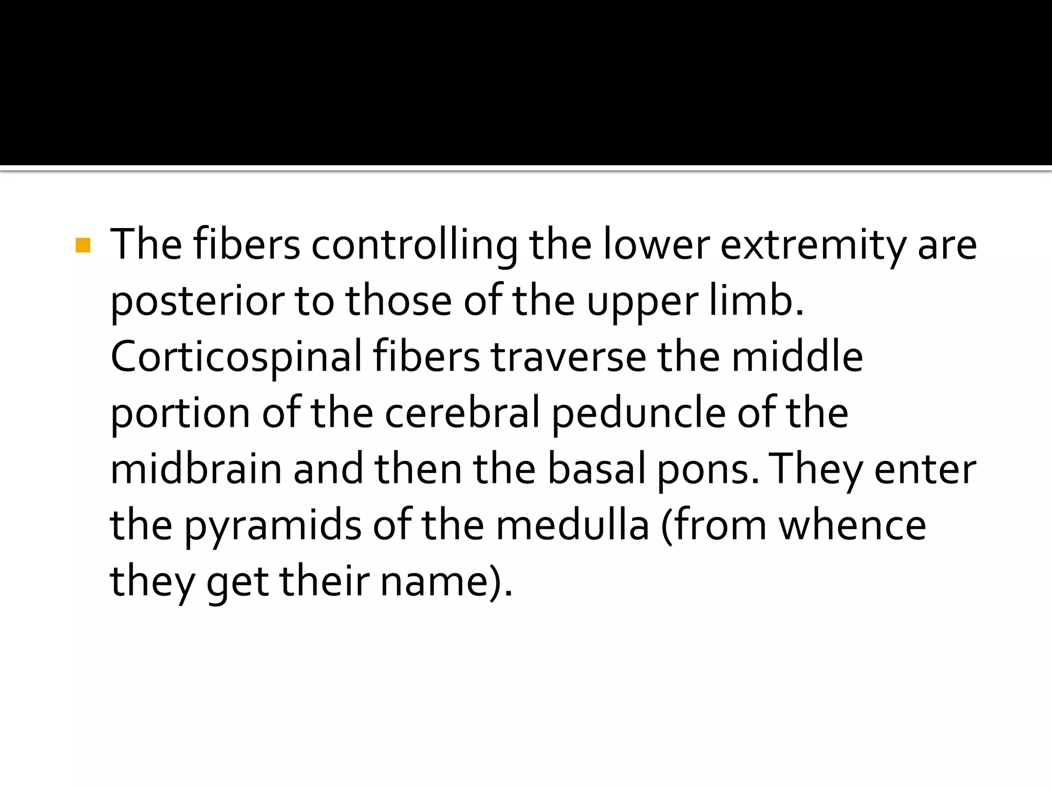 Pyramidal system | PPTX