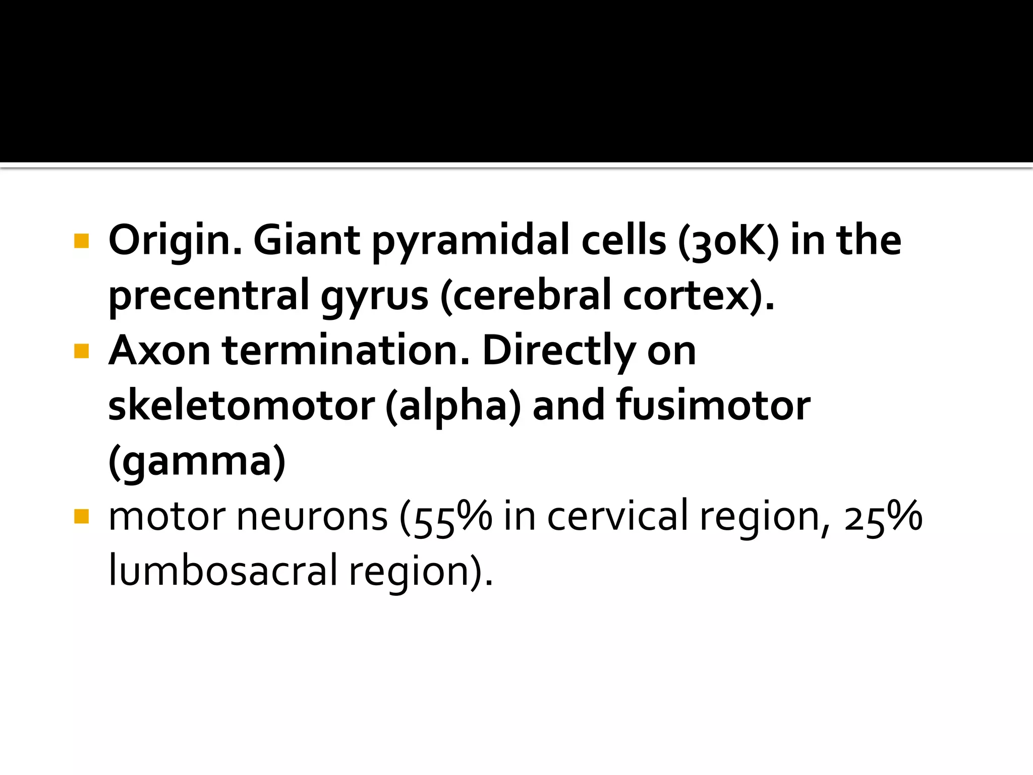 Pyramidal system | PPTX