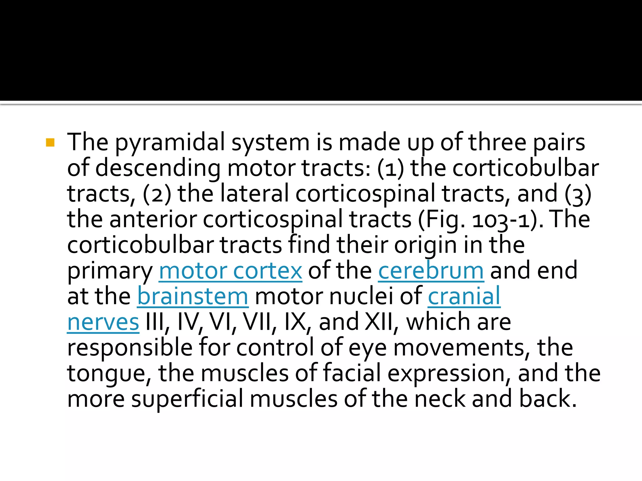 Pyramidal system | PPTX