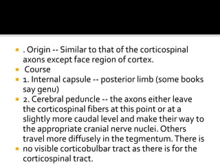 Pyramidal system | PPTX