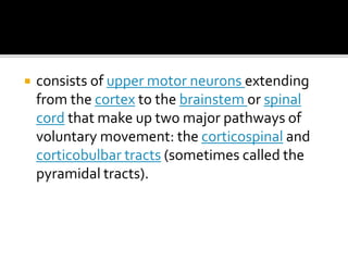 Pyramidal system | PPT
