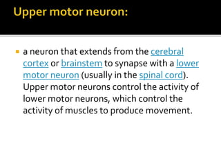 Pyramidal system | PPT