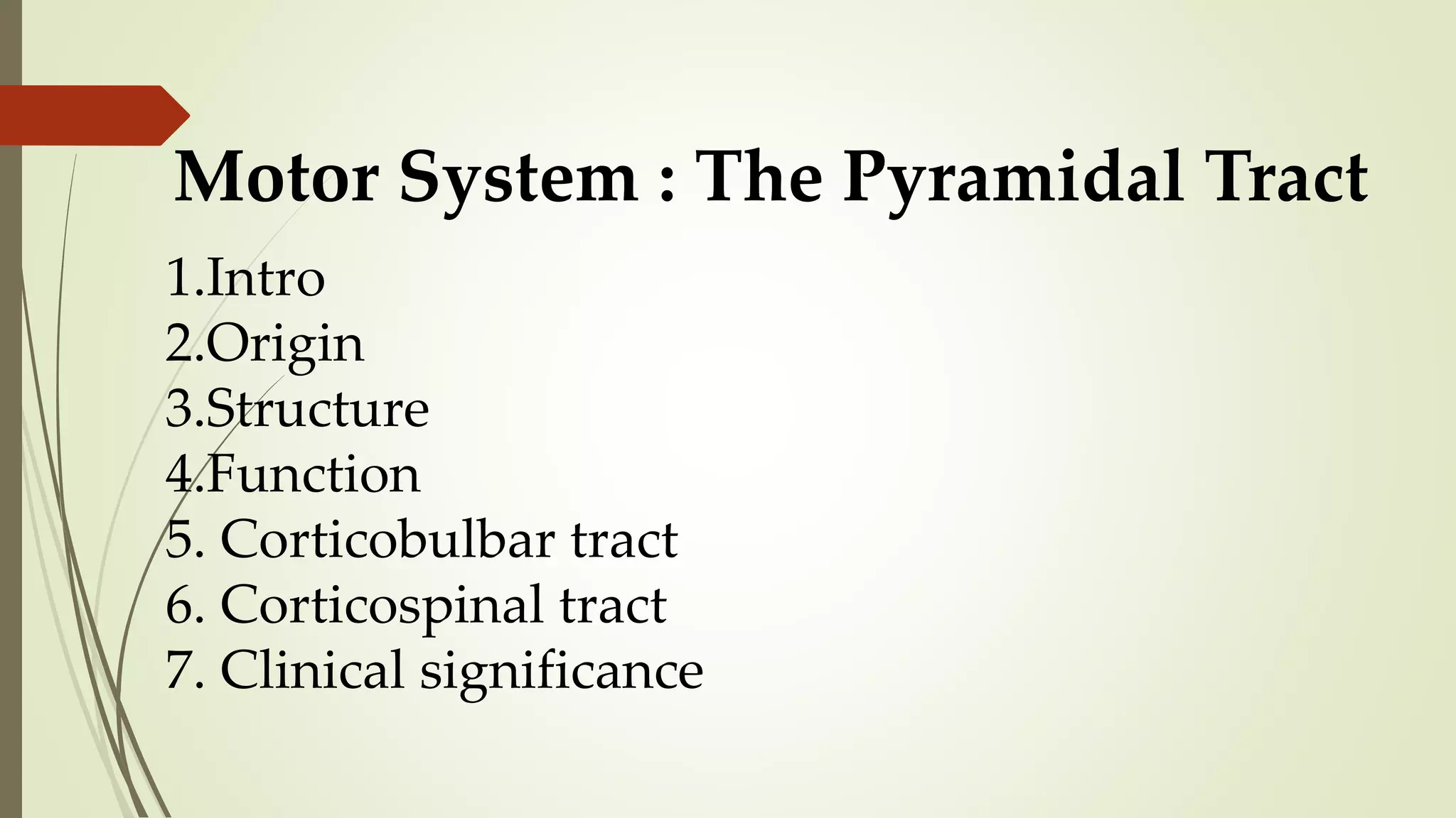 Pyramidal system Keshav Kumar Panwar.pptx | Brain and Nervous System ...