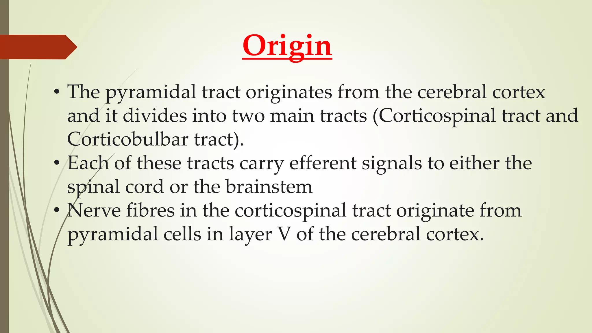 Pyramidal system Keshav Kumar Panwar.pptx | Brain and Nervous System ...