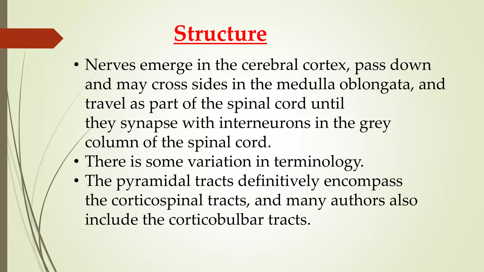 Pyramidal system Keshav Kumar Panwar.pptx | Brain and Nervous System ...