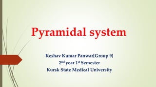 Pyramidal system Keshav Kumar Panwar.pptx | Brain and Nervous System ...