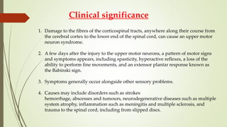 Pyramidal system Keshav Kumar Panwar.pptx | Brain and Nervous System ...