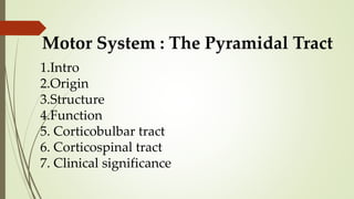 Pyramidal system Keshav Kumar Panwar.pptx | Brain and Nervous System ...