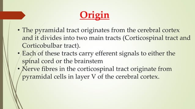 Pyramidal system Keshav Kumar Panwar.pptx