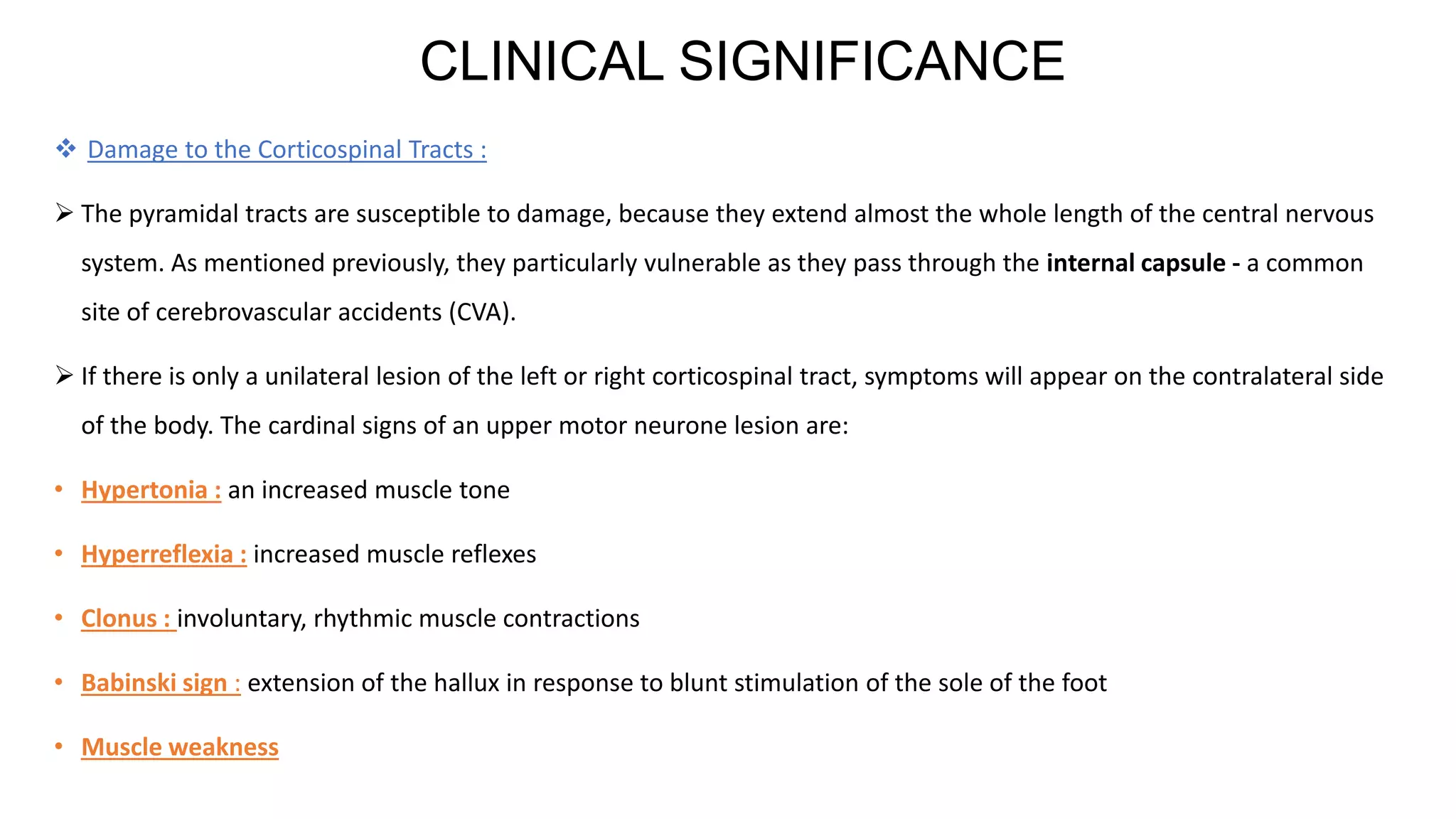 Pyramidal tract | PDF