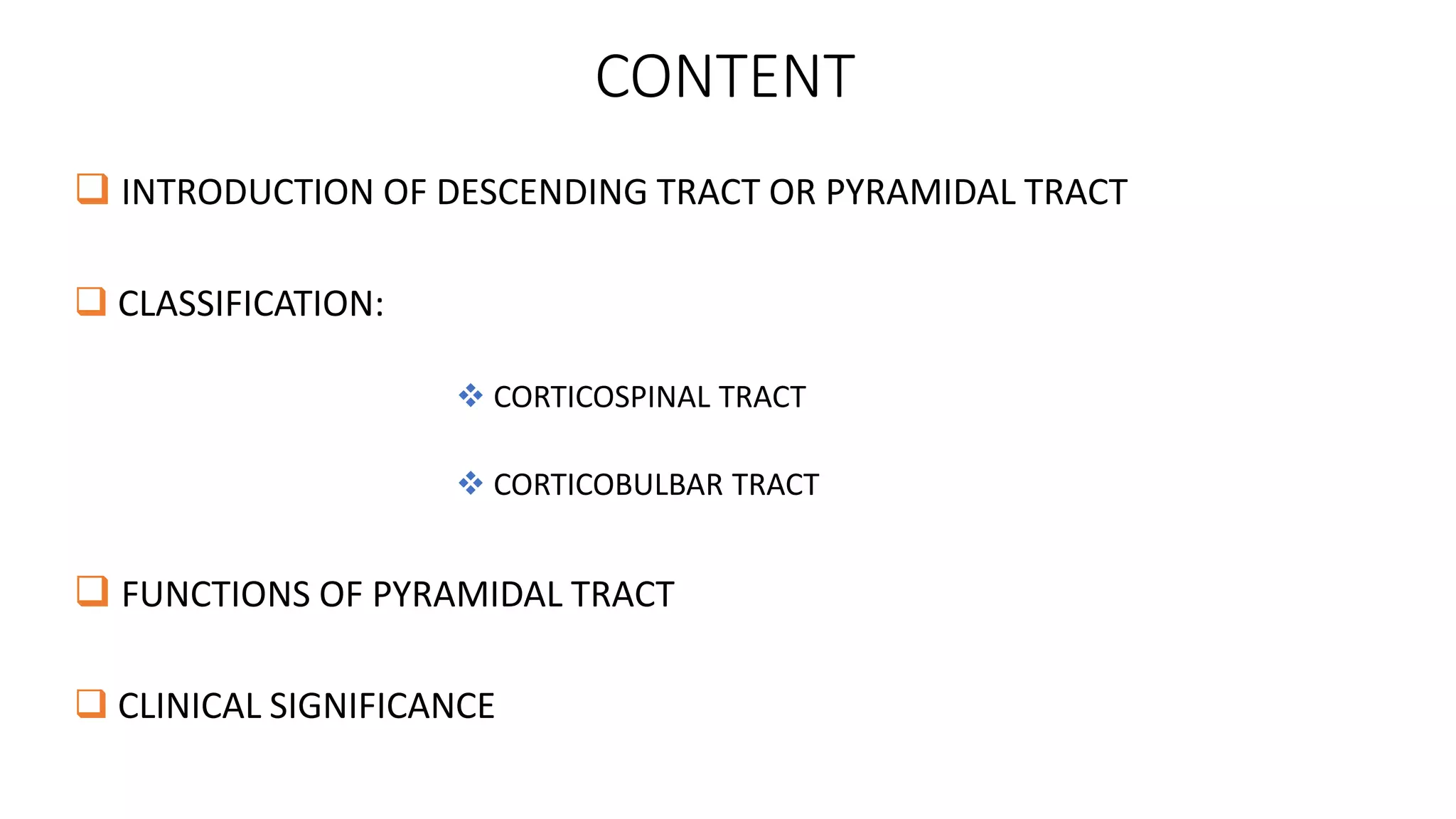 Pyramidal tract | PDF
