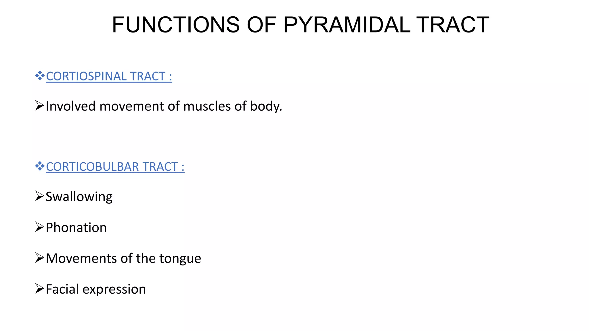 Pyramidal tract | PDF