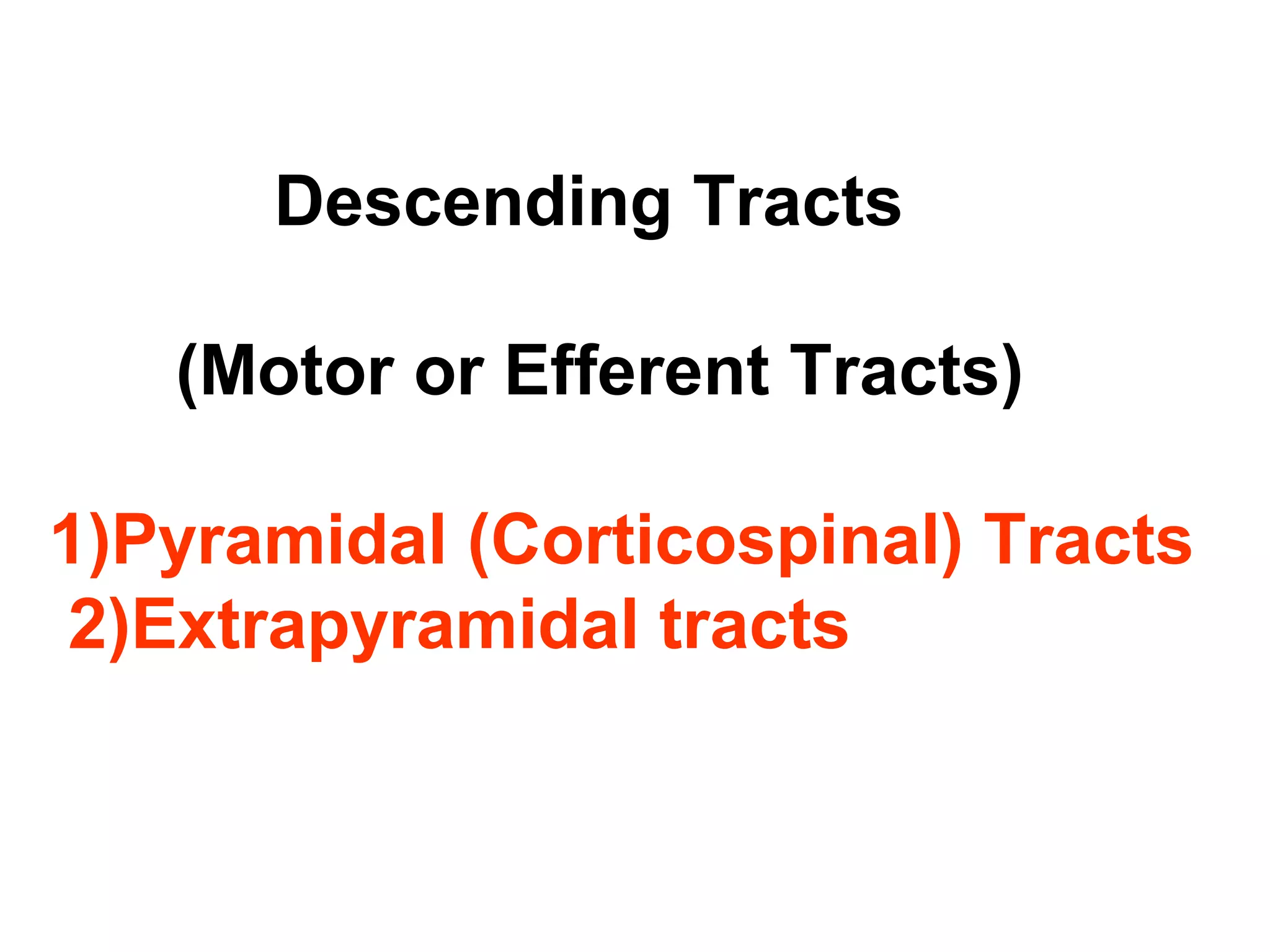 Pyramidal tract by Sunita.M.Tiwale,Prof. Dept of physiology,D.Y.Patil ...