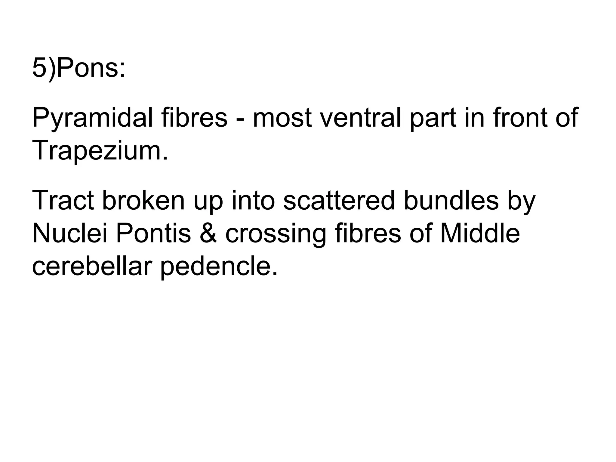 Pyramidal tract by Sunita.M.Tiwale,Prof. Dept of physiology,D.Y.Patil ...