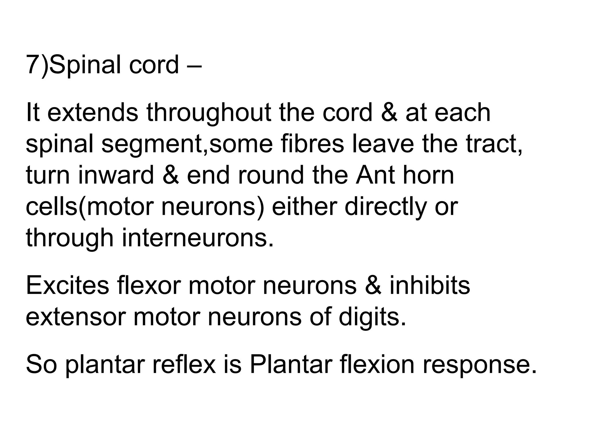 Pyramidal tract by Sunita.M.Tiwale,Prof. Dept of physiology,D.Y.Patil ...