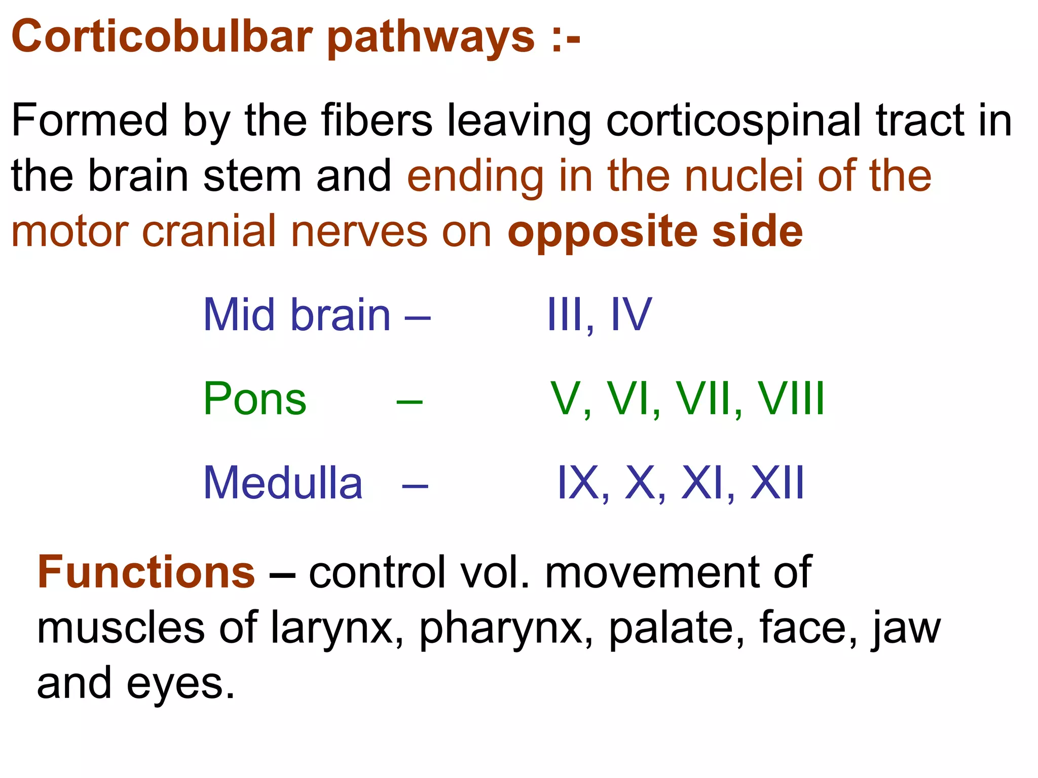 Pyramidal tract by Sunita.M.Tiwale,Prof. Dept of physiology,D.Y.Patil ...