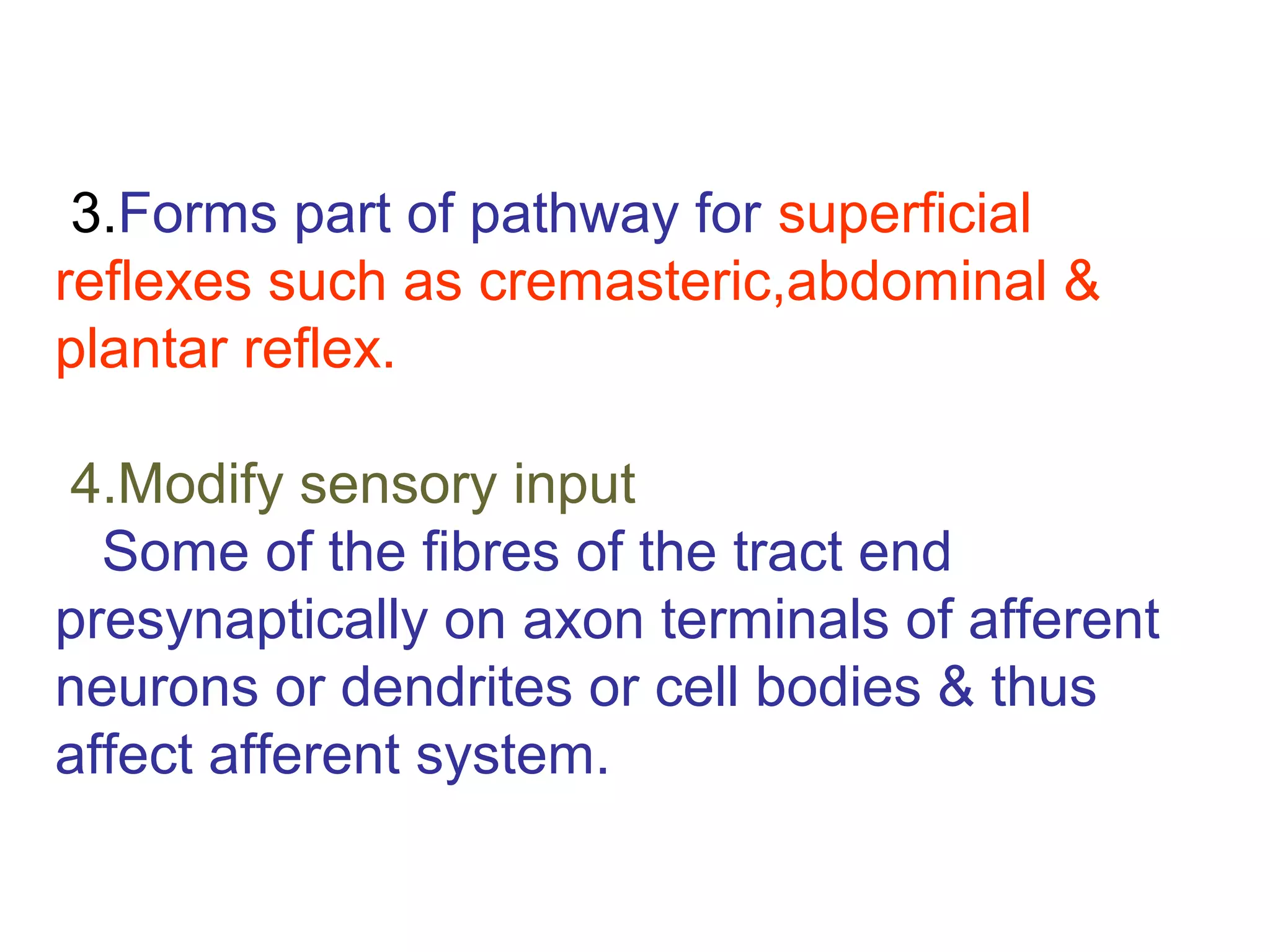 Pyramidal tract by Sunita.M.Tiwale,Prof. Dept of physiology,D.Y.Patil ...