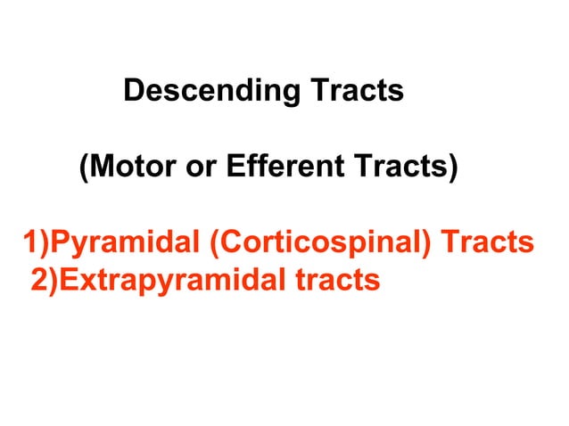 Pyramidal tract by Sunita.M.Tiwale,Prof. Dept of physiology,D.Y.Patil ...