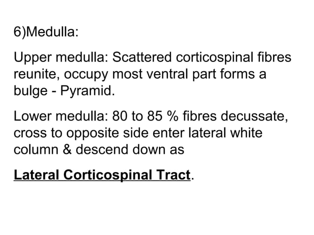 Pyramidal tract by Sunita.M.Tiwale,Prof. Dept of physiology,D.Y.Patil ...