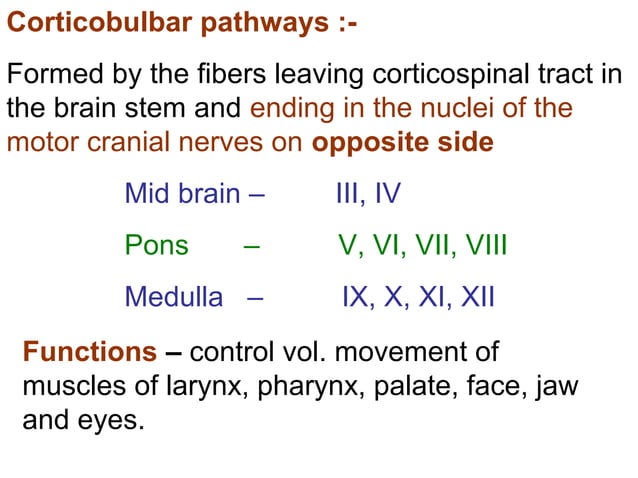 Pyramidal tract by Sunita.M.Tiwale,Prof. Dept of physiology,D.Y.Patil ...
