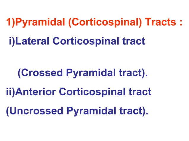 Pyramidal tract by Sunita.M.Tiwale,Prof. Dept of physiology,D.Y.Patil ...