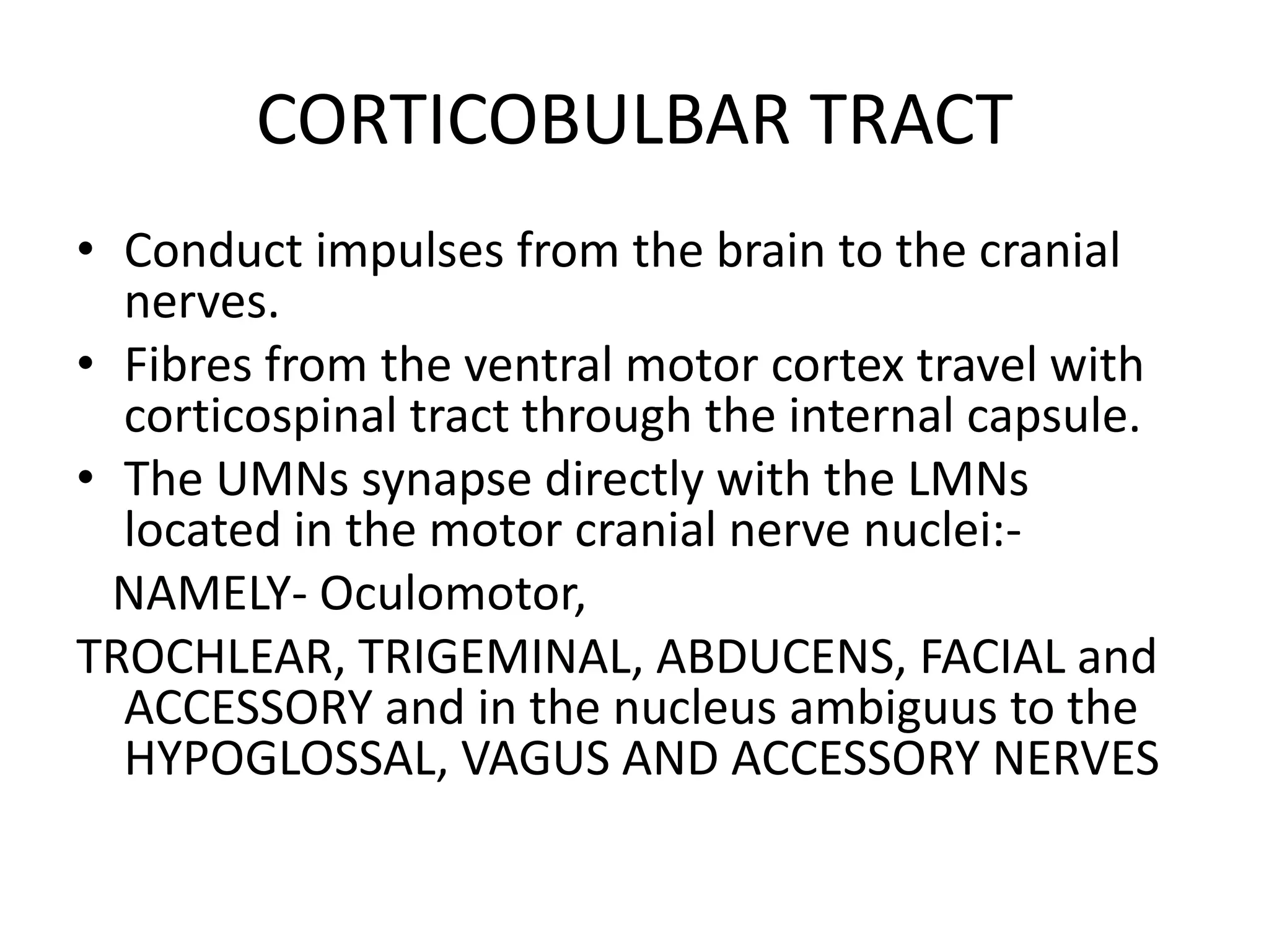 Pyramidal tracts | PPTX