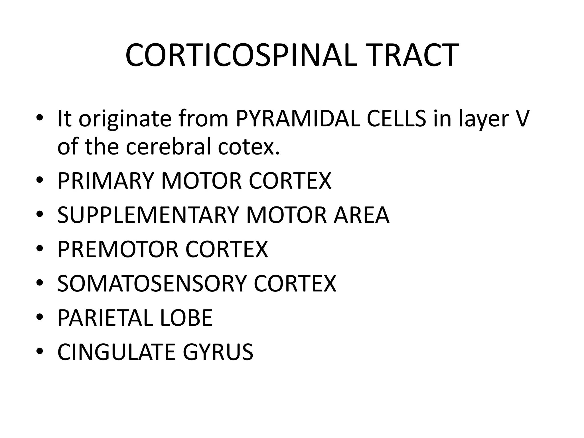 Pyramidal tracts | PPTX