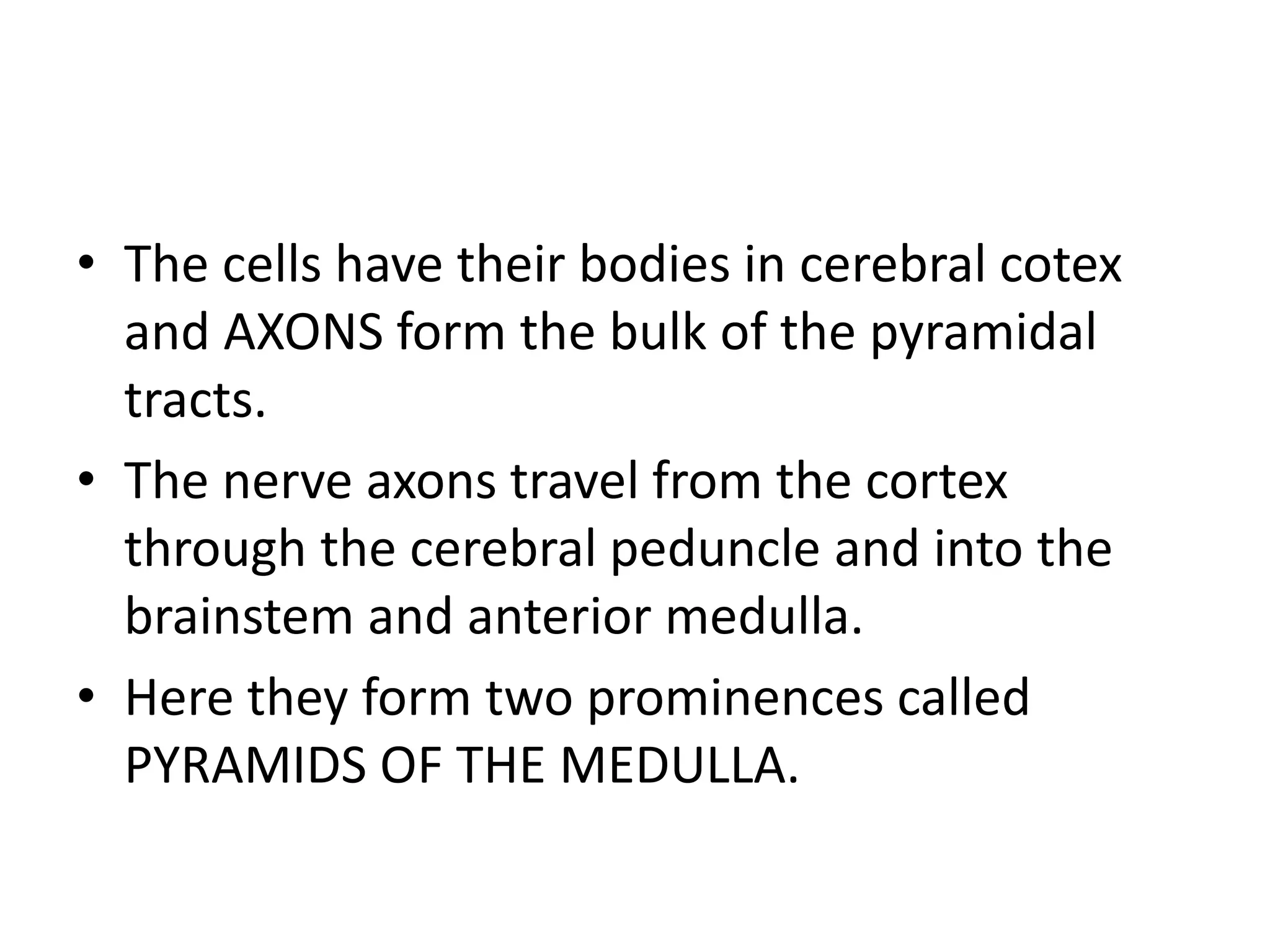 Pyramidal tracts | PPTX