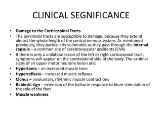 Pyramidal tracts | PPTX