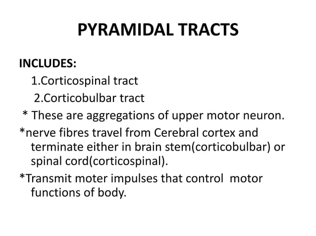 Pyramidal tracts | PPTX