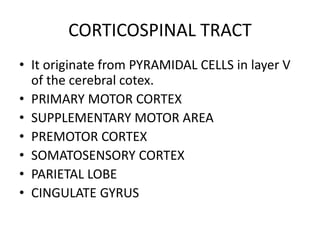 Pyramidal tracts | PPTX