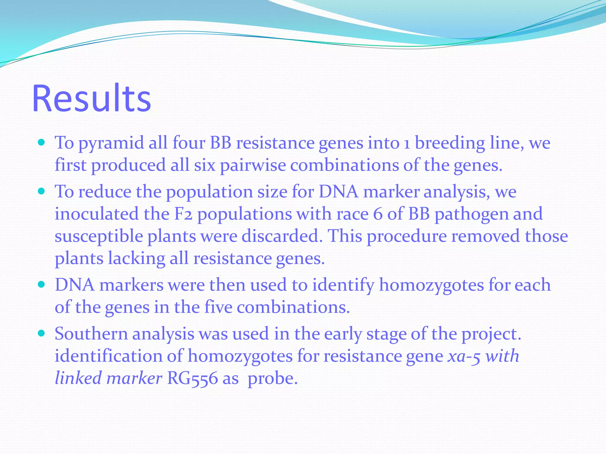 Pyramiding of bacterial blight resistance genes in rice | PPTX