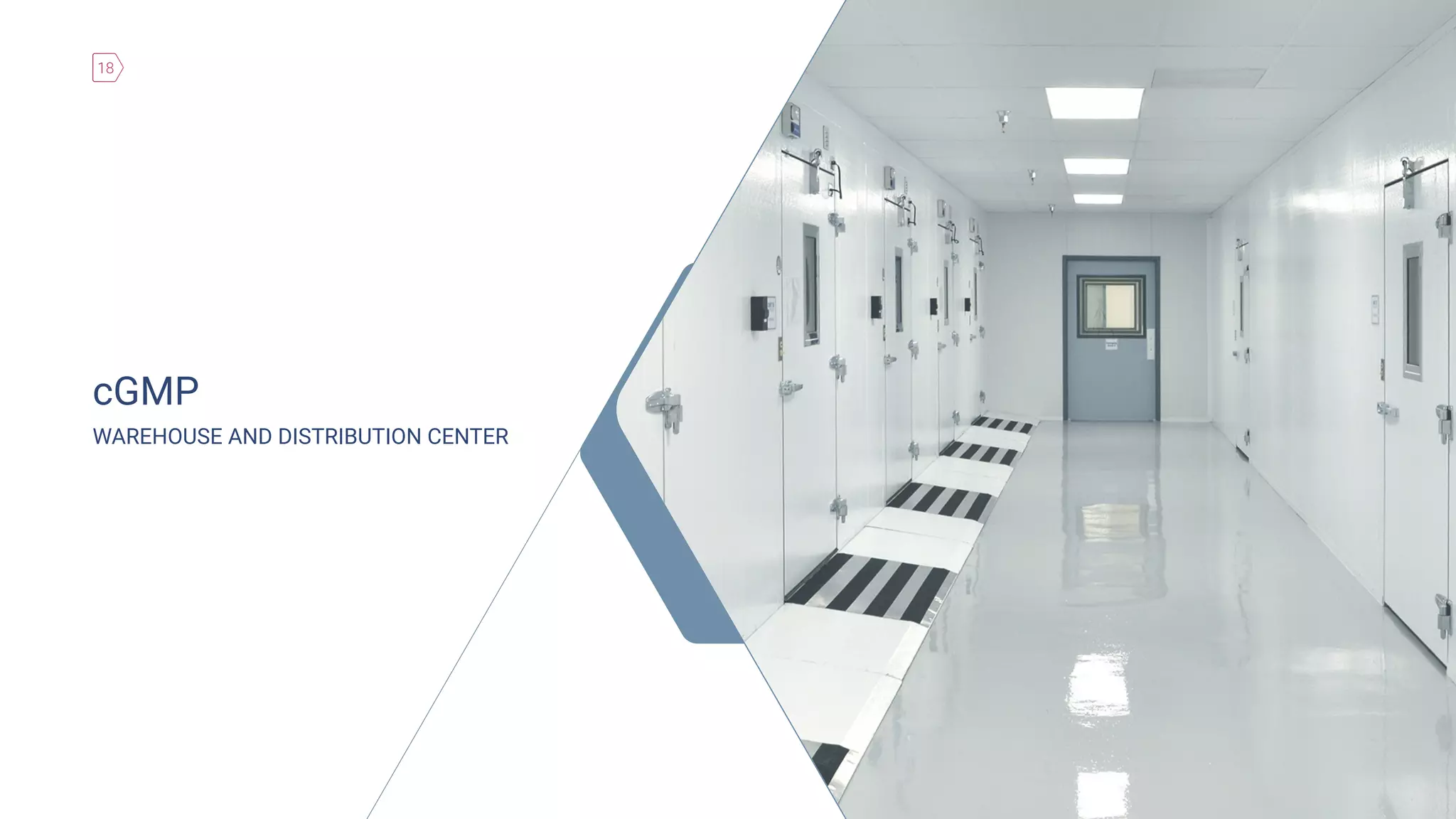 Pyramid Laboratories Overview | PPT